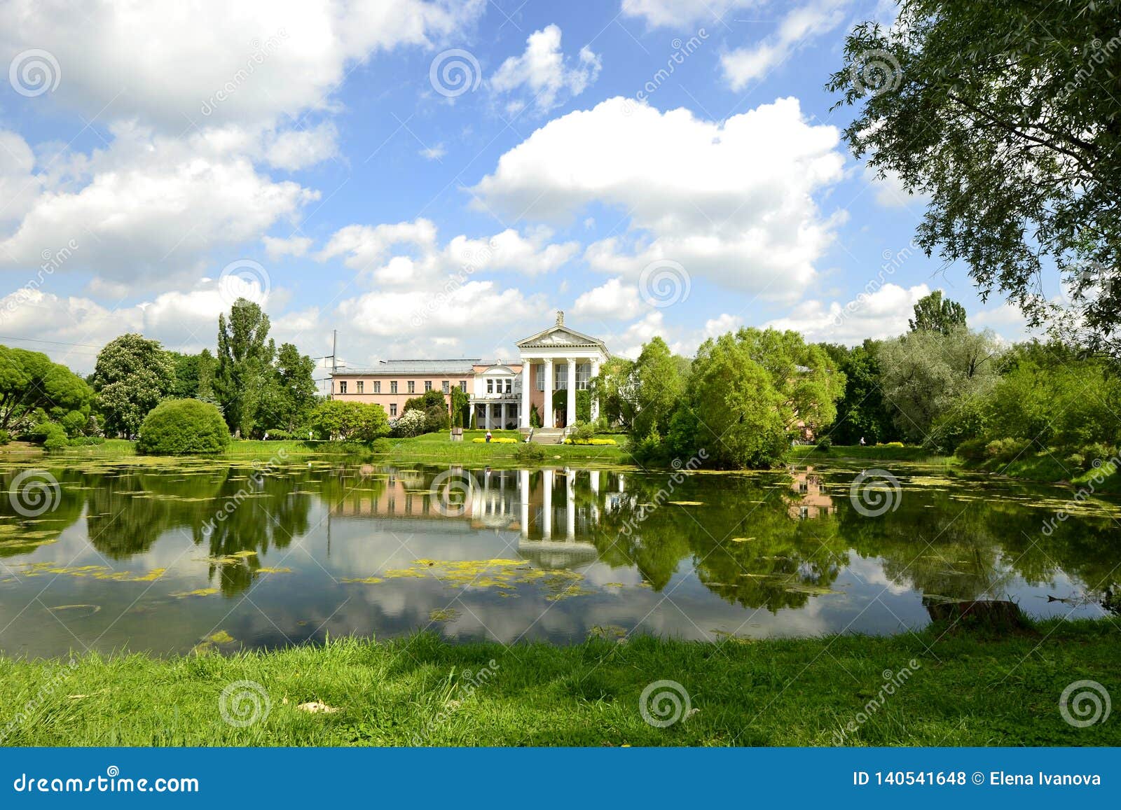 Pond in the Park stock photo. Image of tree, green, lake - 140541648
