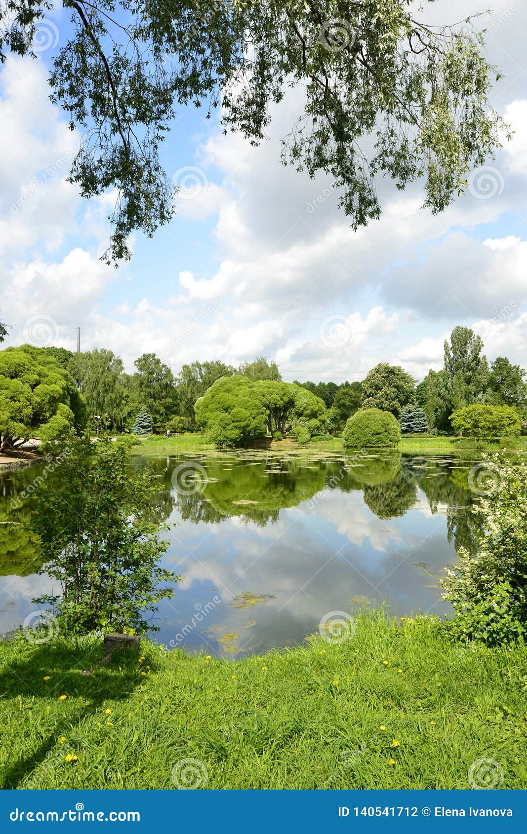 Pond in the Park stock photo. Image of park, cloud, view - 140541712