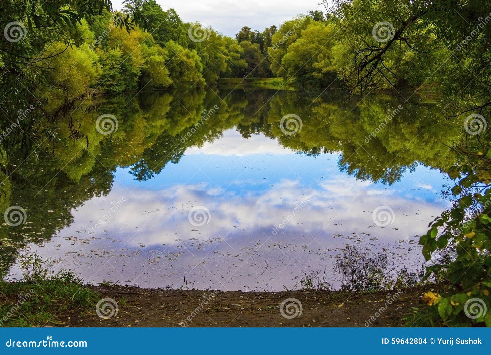 Pond in the park stock photo. Image of lake, nature, beautiful - 59642804