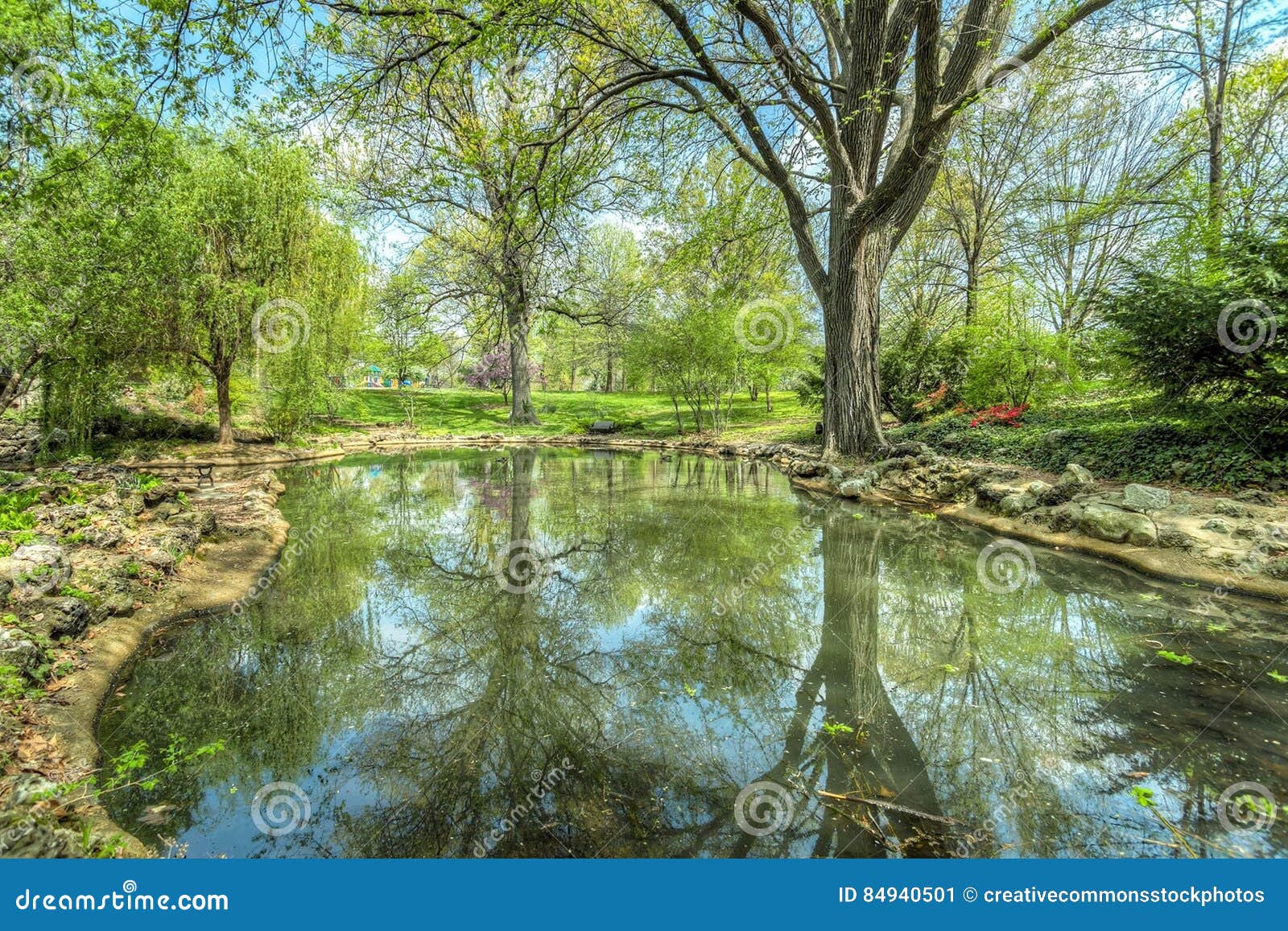 Pond In Park Picture. Image: 84940501