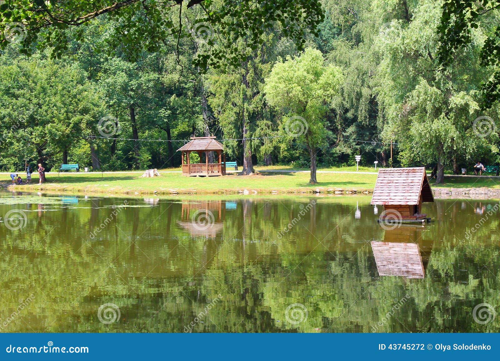Pond in park stock photo. Image of landscape, grass, foliage - 43745272