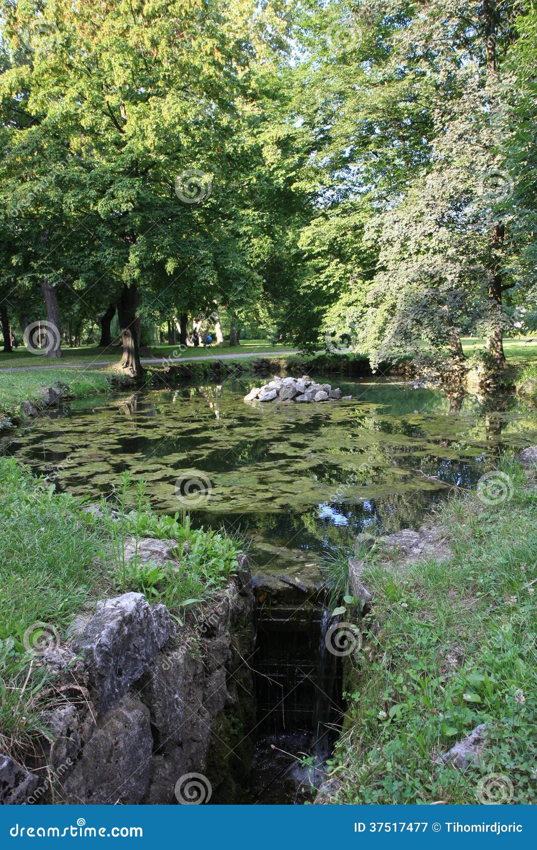 Pond in the park stock image. Image of park, trees, surface - 37517477