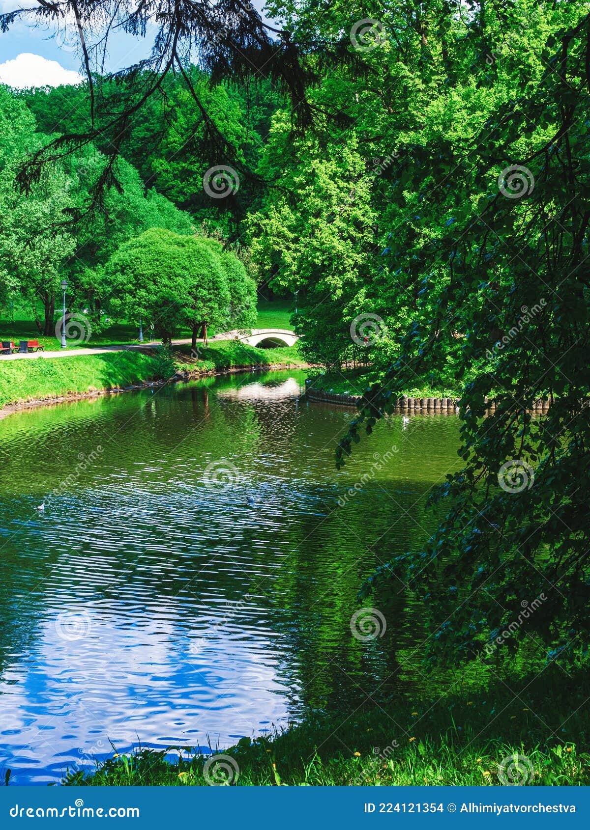 Pond in the park stock photo. Image of blue, spring - 224121354