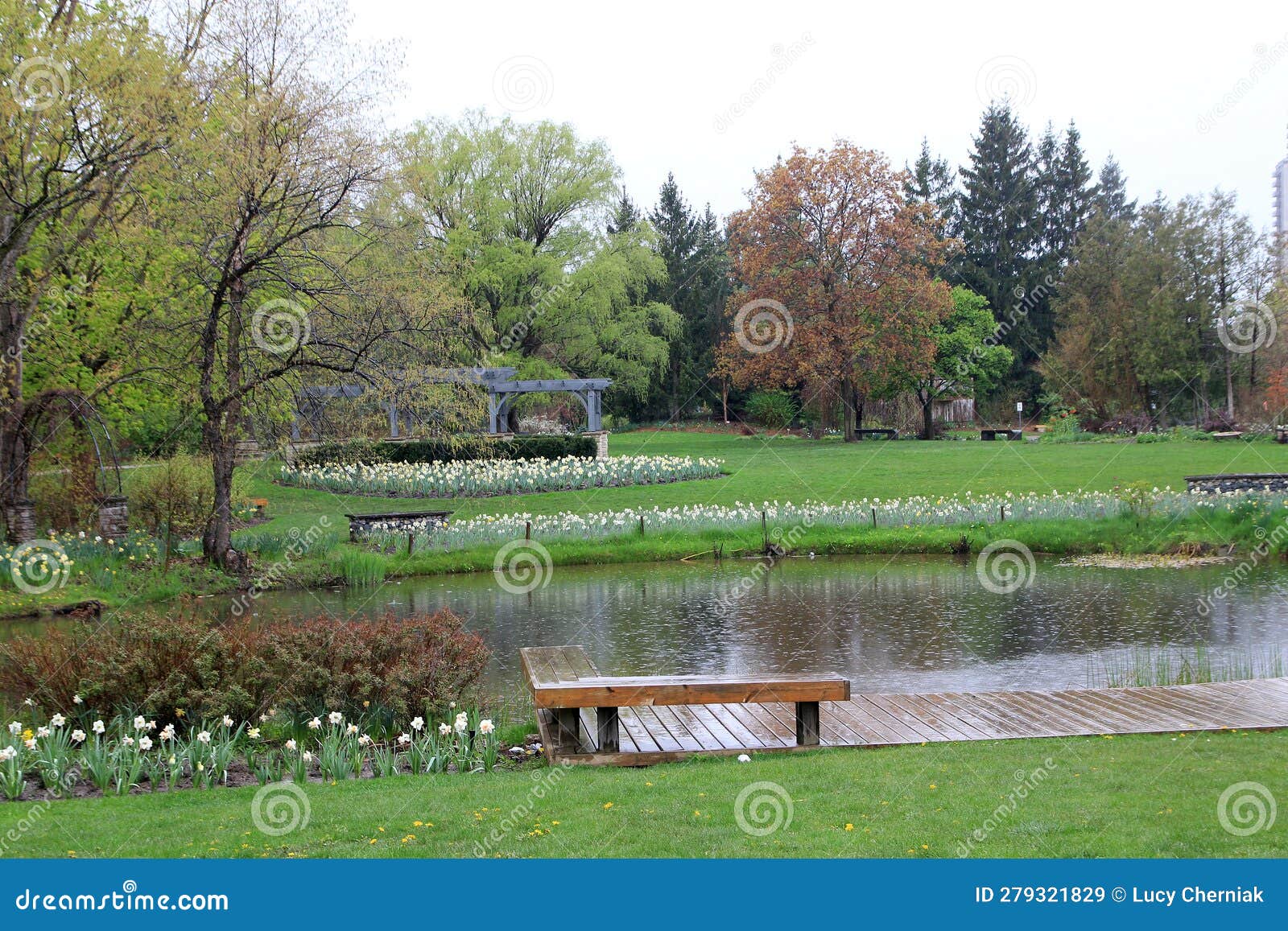 Pond in the Park stock image. Image of grass, woodland - 279321829