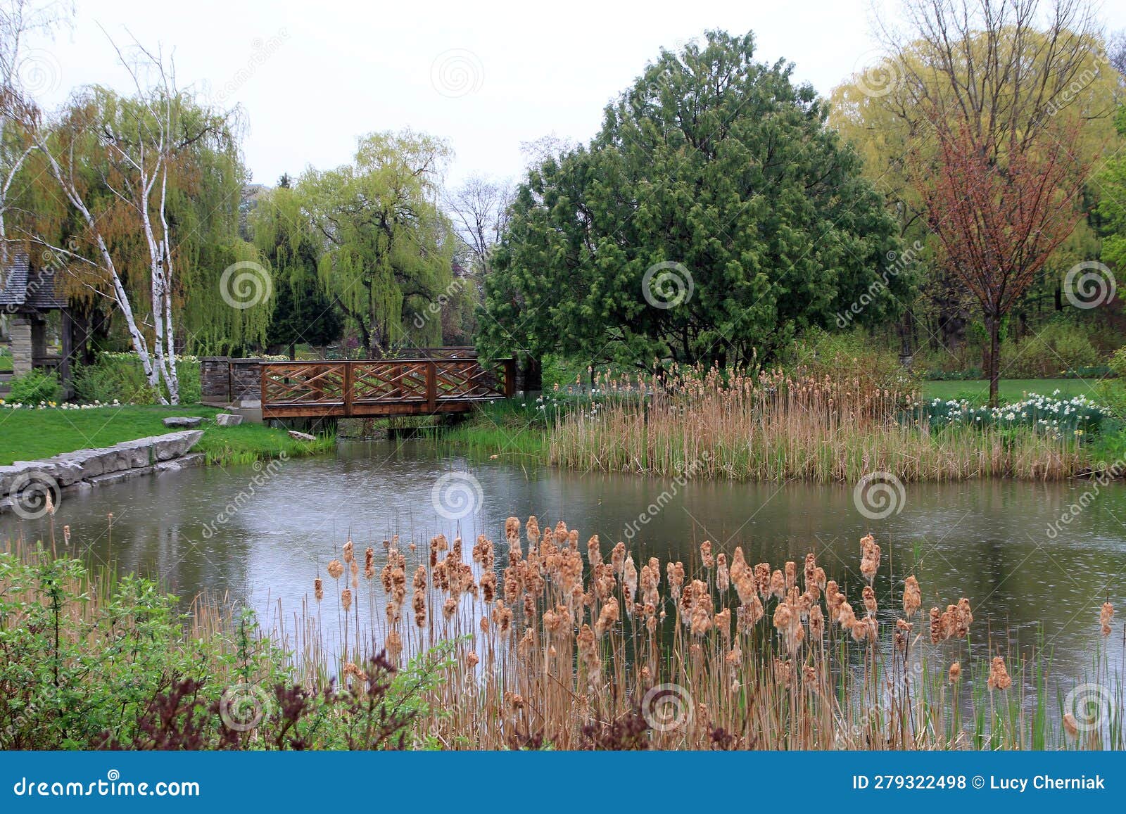 Pond in the Park stock photo. Image of grass, pond, landscape - 279322498
