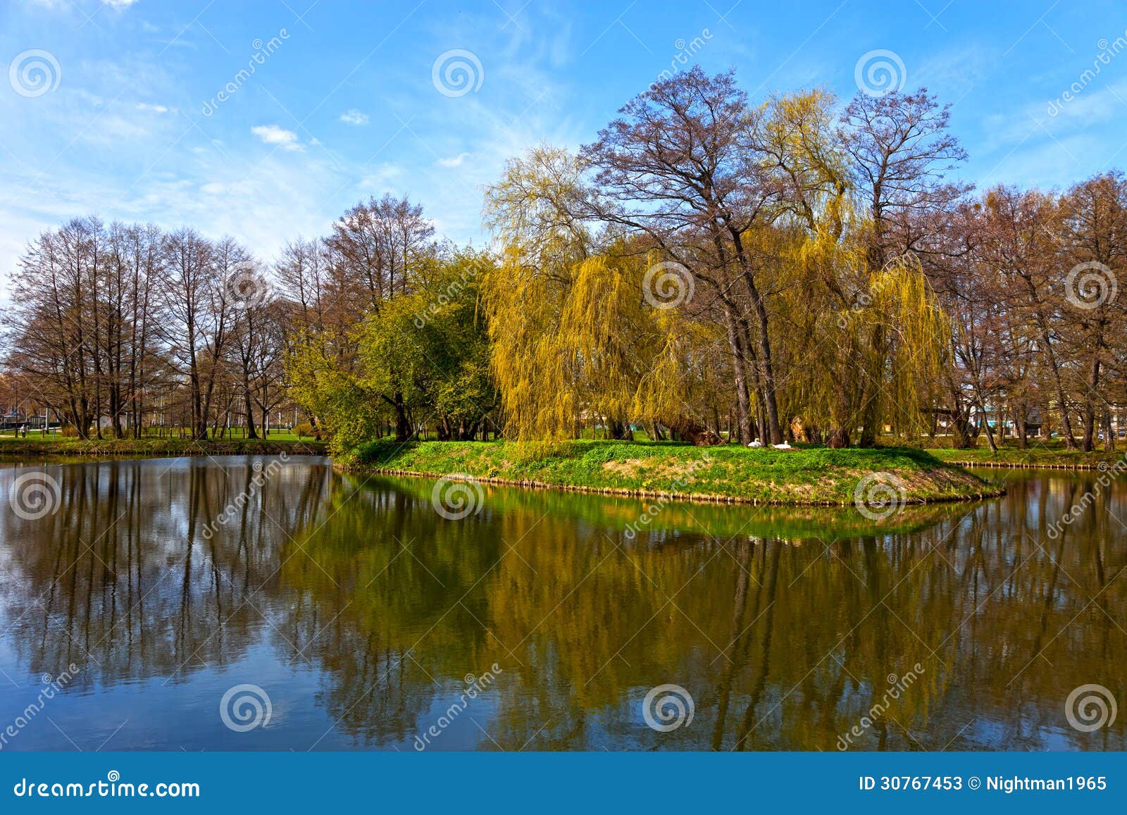 Pond in the park stock image. Image of forest, poland - 30767453