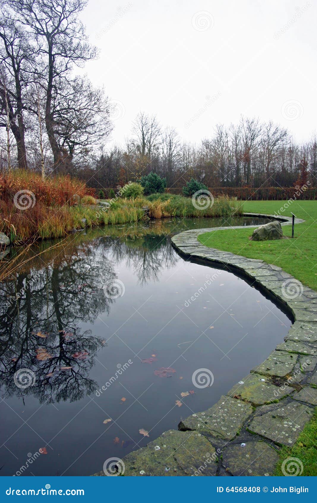Pond in park stock photo. Image of trees, reflections - 64568408