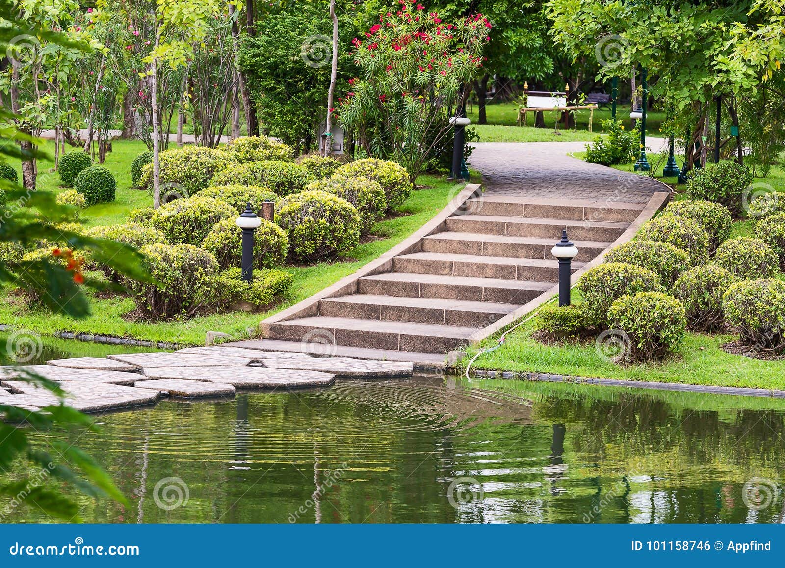 Pond in the park. stock photo. Image of garden, park - 101158746