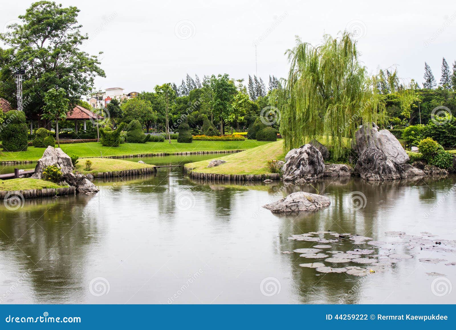Pond in the park stock photo. Image of lush, backyard - 44259222