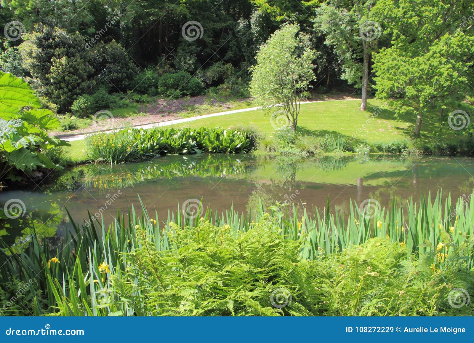 Pond in a park stock image. Image of public, stream - 108272229