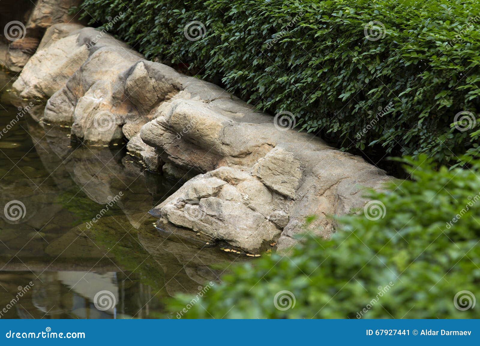 Pond stock image. Image of dark, park, trees, travel - 67927441