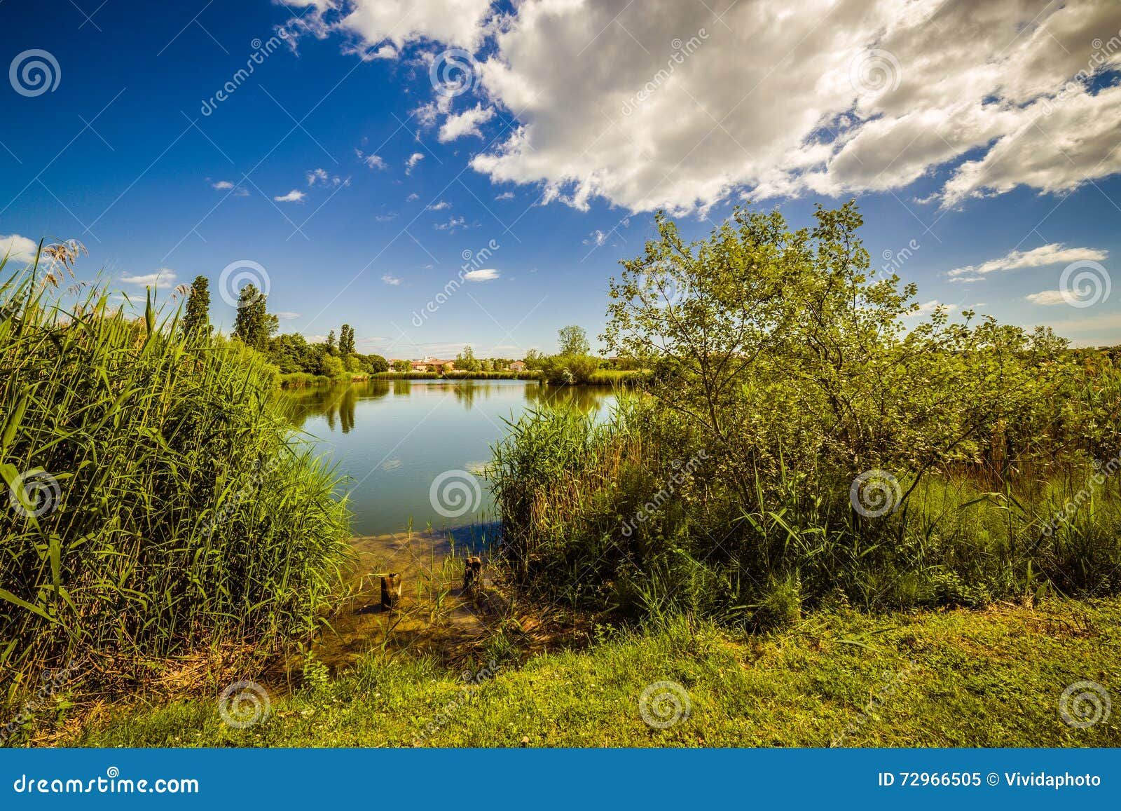 Pond in the public gardens stock image. Image of rimini - 72966505