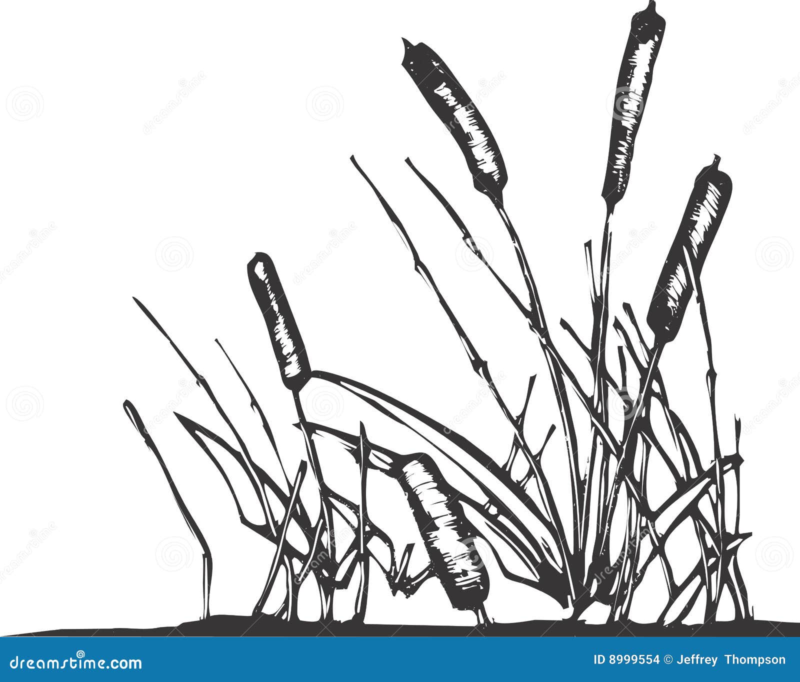 Pond Reeds stock vector. Illustration of pond, fishing - 8999554