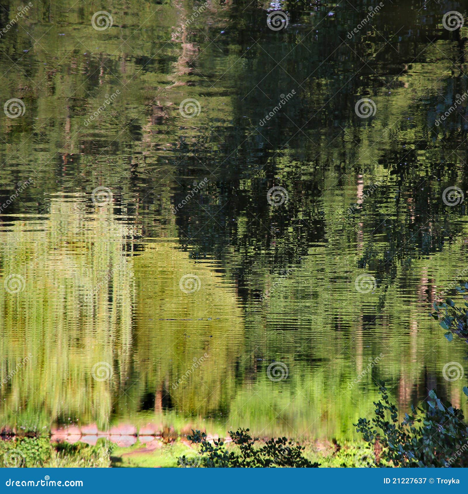 Pond reflection. stock image. Image of foliage, outdoor - 21227637