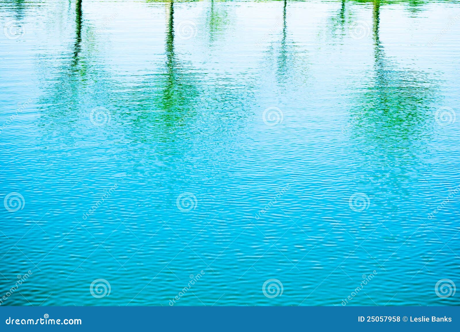 Pond reflection stock photo. Image of park, trees, outside - 25057958