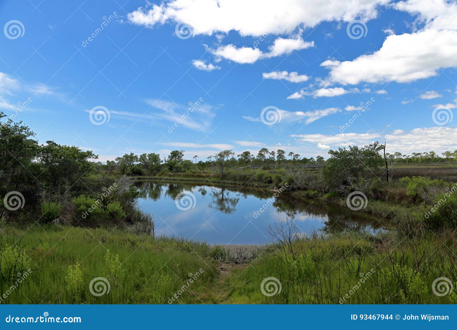 Pond with Reflection of the Sky and Clouds Stock Photo - Image of ...