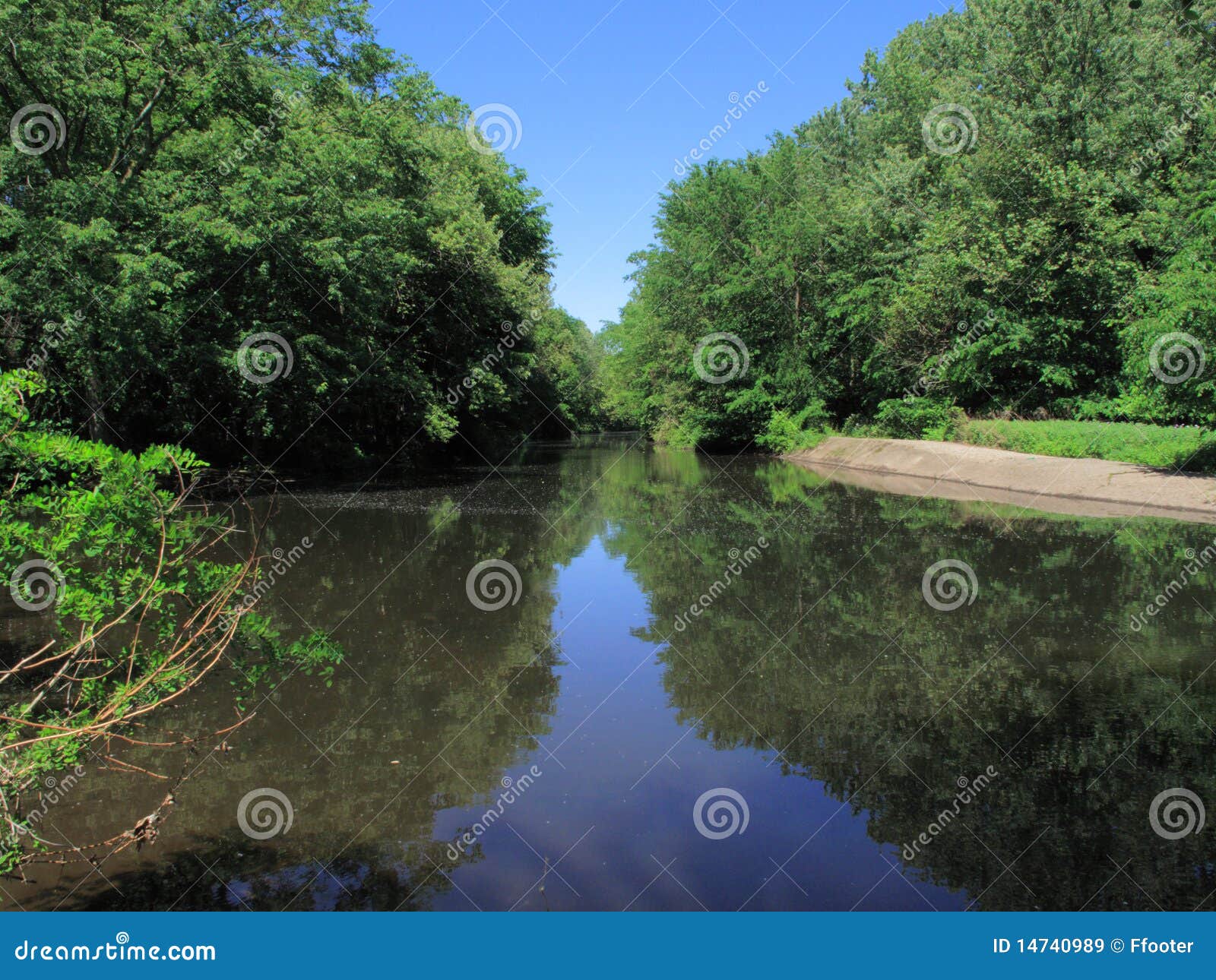 Pond Reflections stock image. Image of water, spring - 14740989