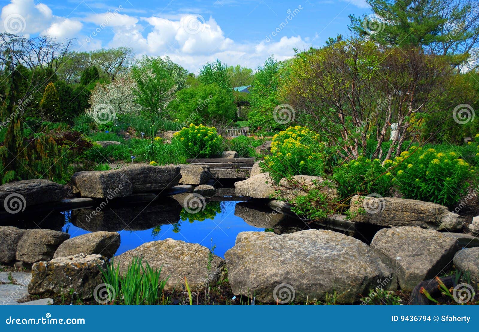 Pond Reflections stock photo. Image of rocks, outdoor - 9436794