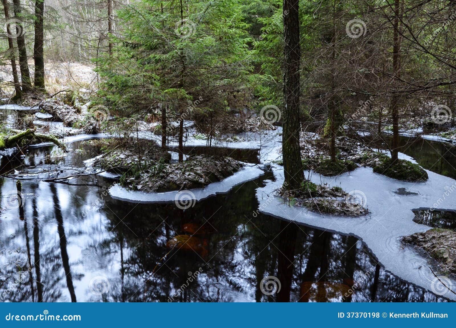Pond reflections stock photo. Image of sweden, water - 37370198