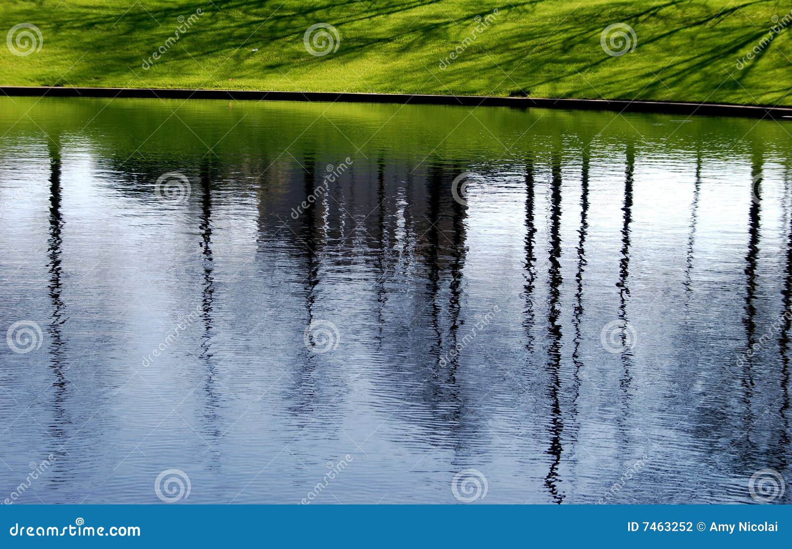 Pond, Reflections, and Grass Stock Photo - Image of bright, emerald ...