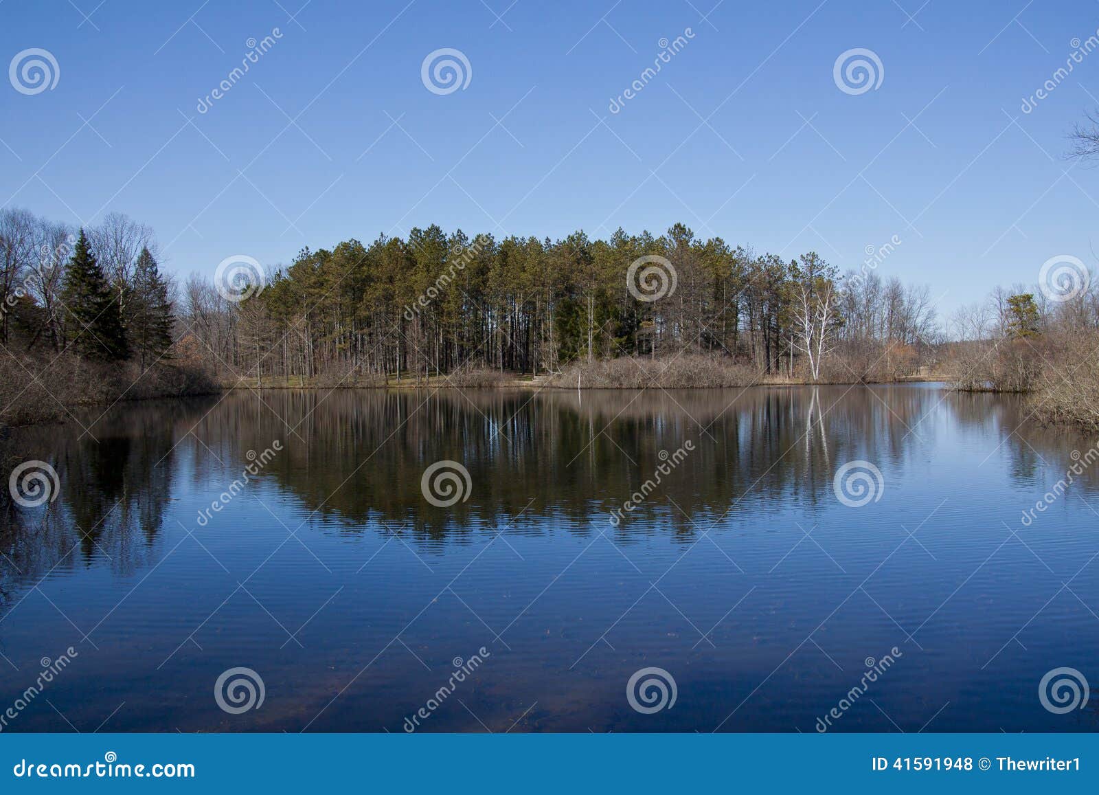 Pond Reflections stock photo. Image of blue, holden, nature - 41591948