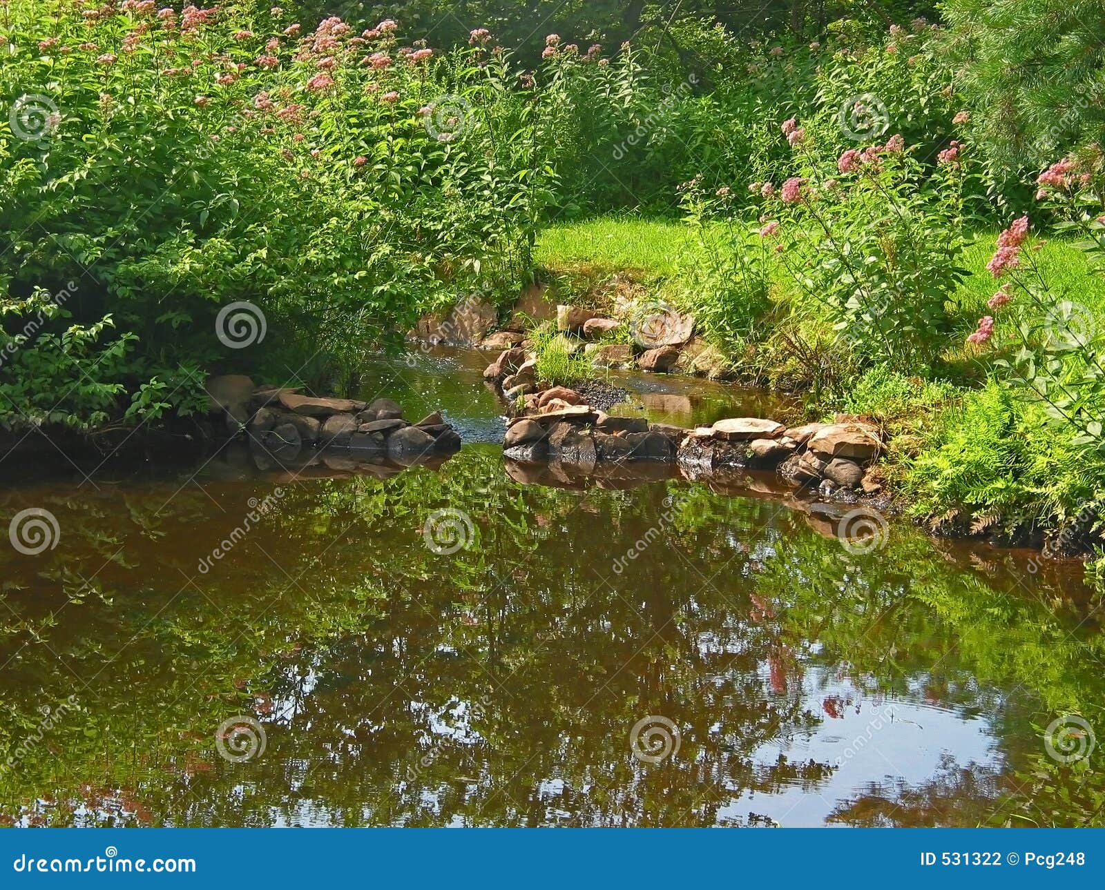 Pond with Rock Dam stock photo. Image of fish, creek, rock - 531322