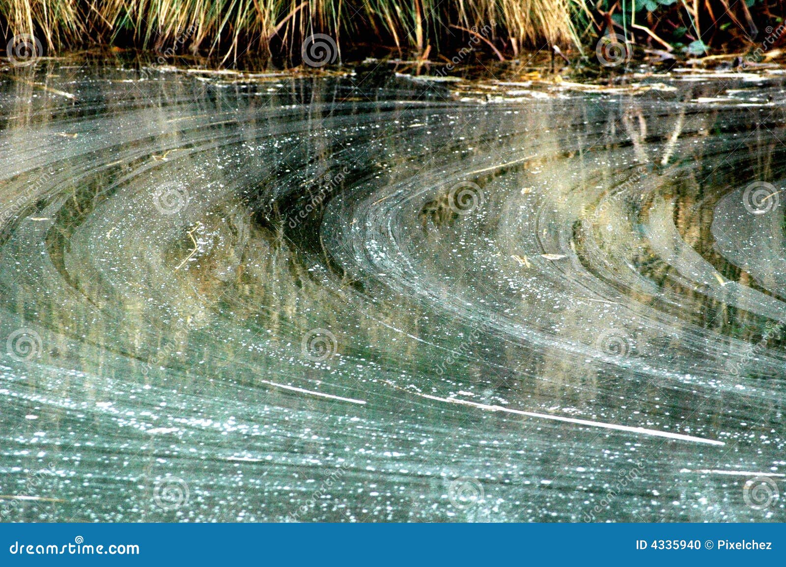 Pond scum stock photo. Image of still, reflection, green - 4335940