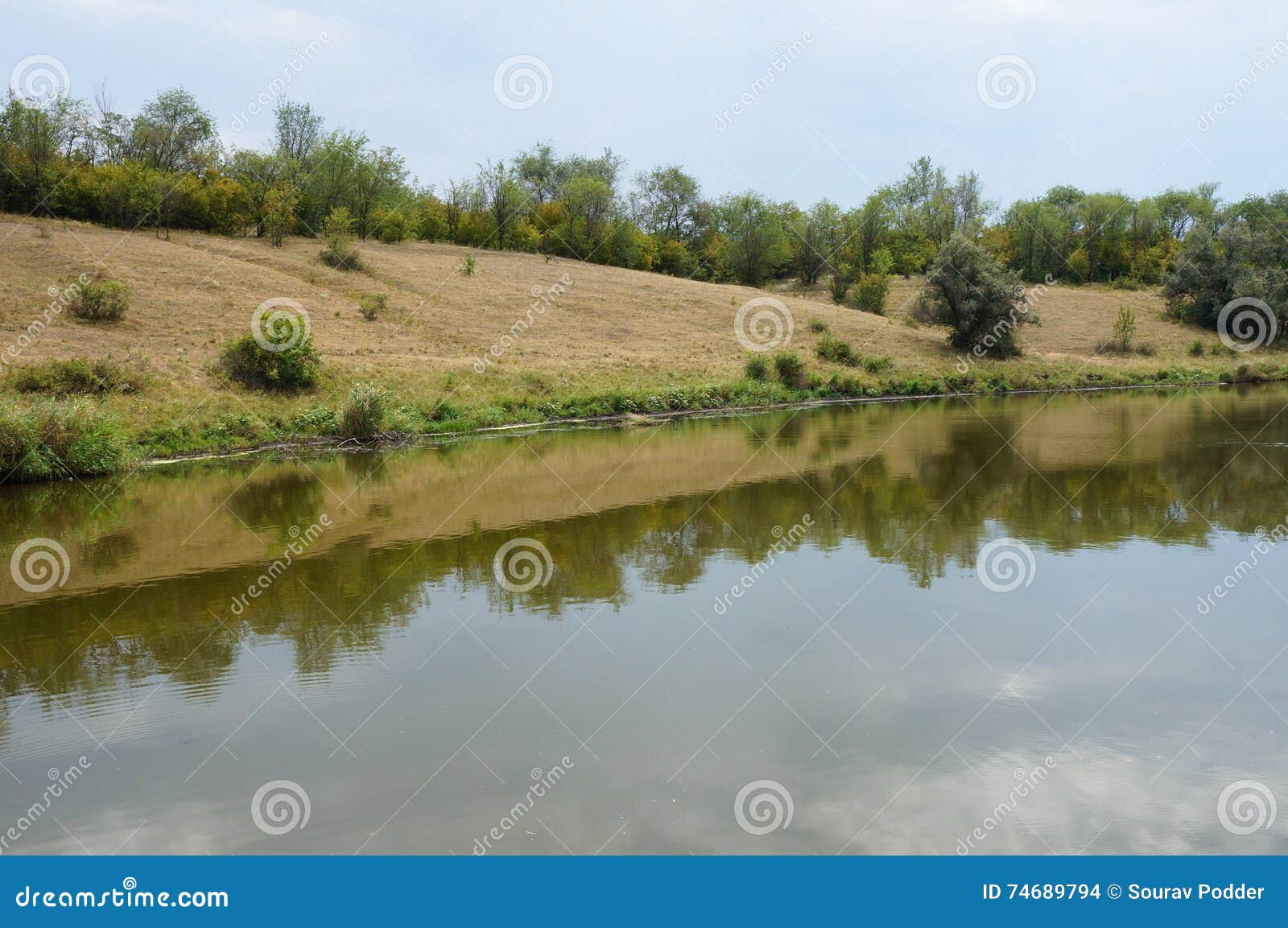 Pond stock photo. Image of pond, water, trees, soil - 74689794