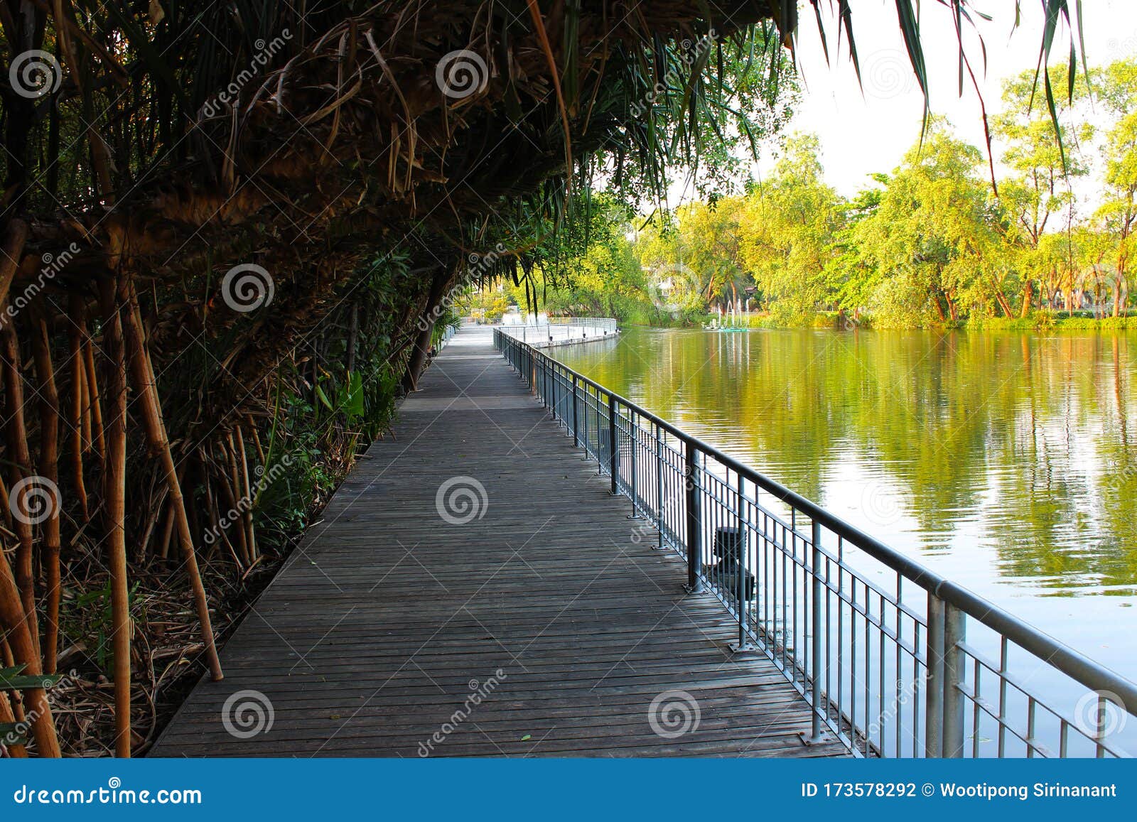 A Pond Side Walkway in a Park Stock Photo - Image of path, outdoors ...