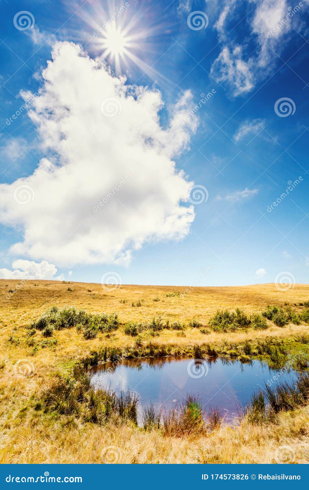 Pond and sky with sun stock photo. Image of autumn, background - 174573826