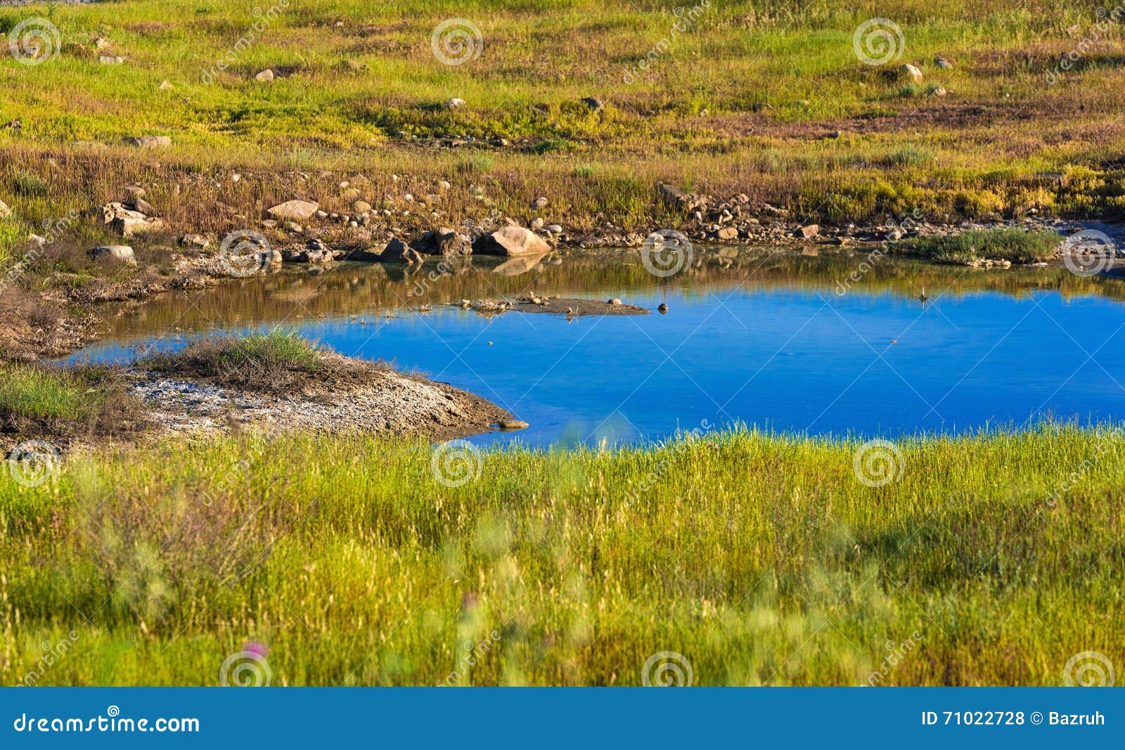 Pond stock photo. Image of pond, water, blue, savanna - 71022728