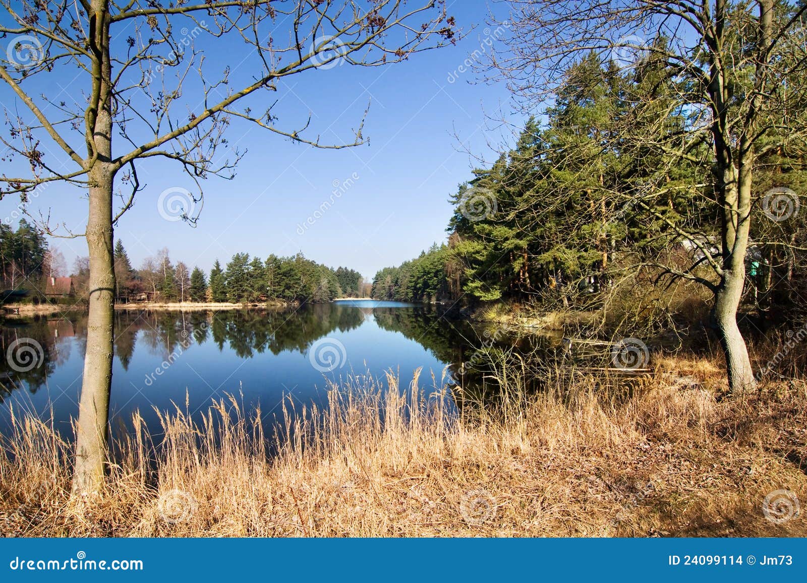 Pond in spring countryside stock photo. Image of water - 24099114