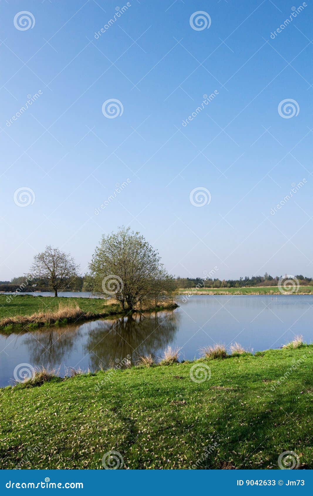 Pond in the Spring Countryside Stock Image - Image of rural, coastline ...