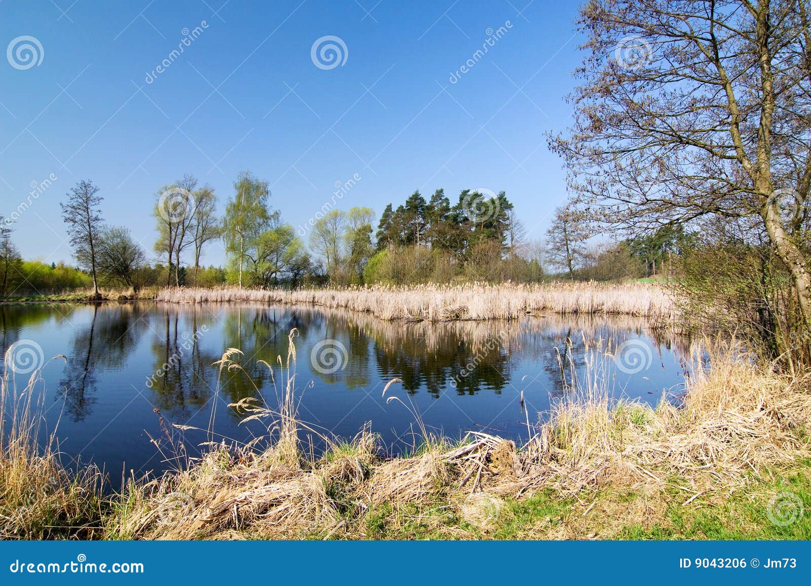 Pond in the Spring Countryside Stock Photo - Image of coastline, plant ...