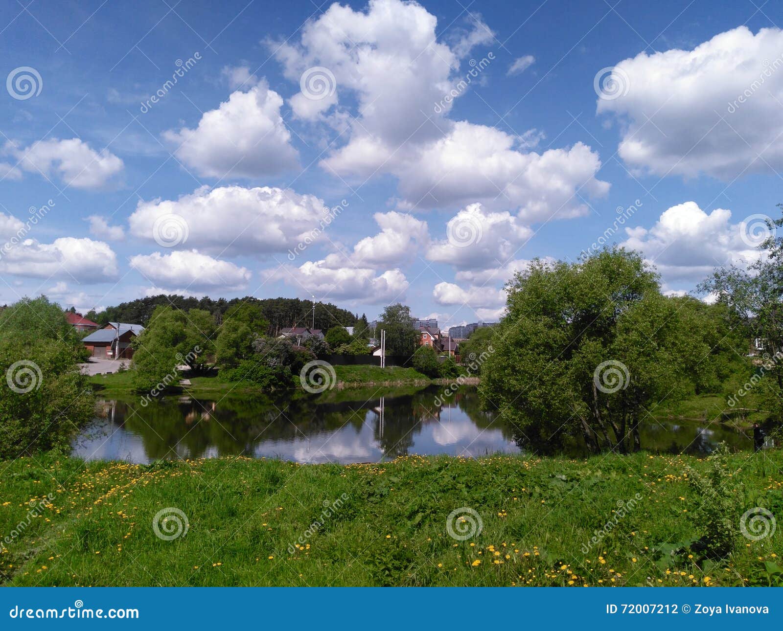 Pond in the suburbs stock photo. Image of forest, suburbs - 72007212