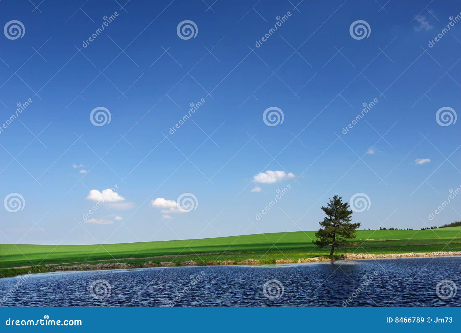 Pond in the Summer Countryside Stock Image - Image of outdoors ...