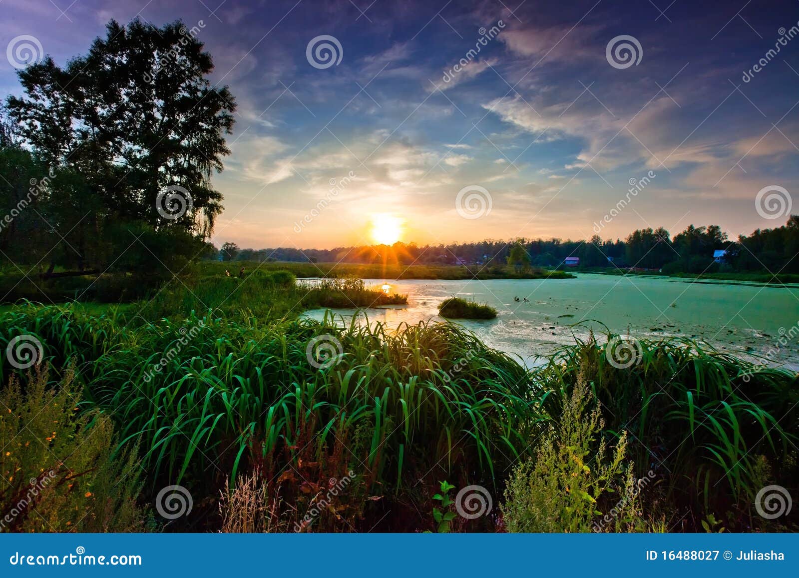 Pond at sunset stock image. Image of scenic, county, houses - 16488027