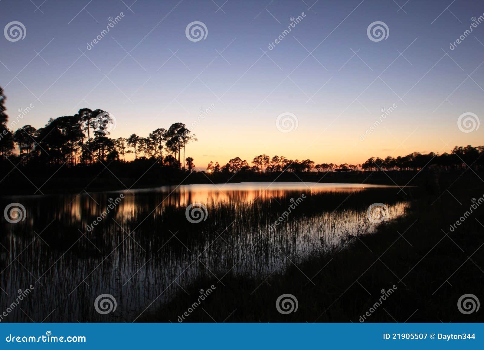 Pond at Sunset stock image. Image of water, lake, marshy - 21905507