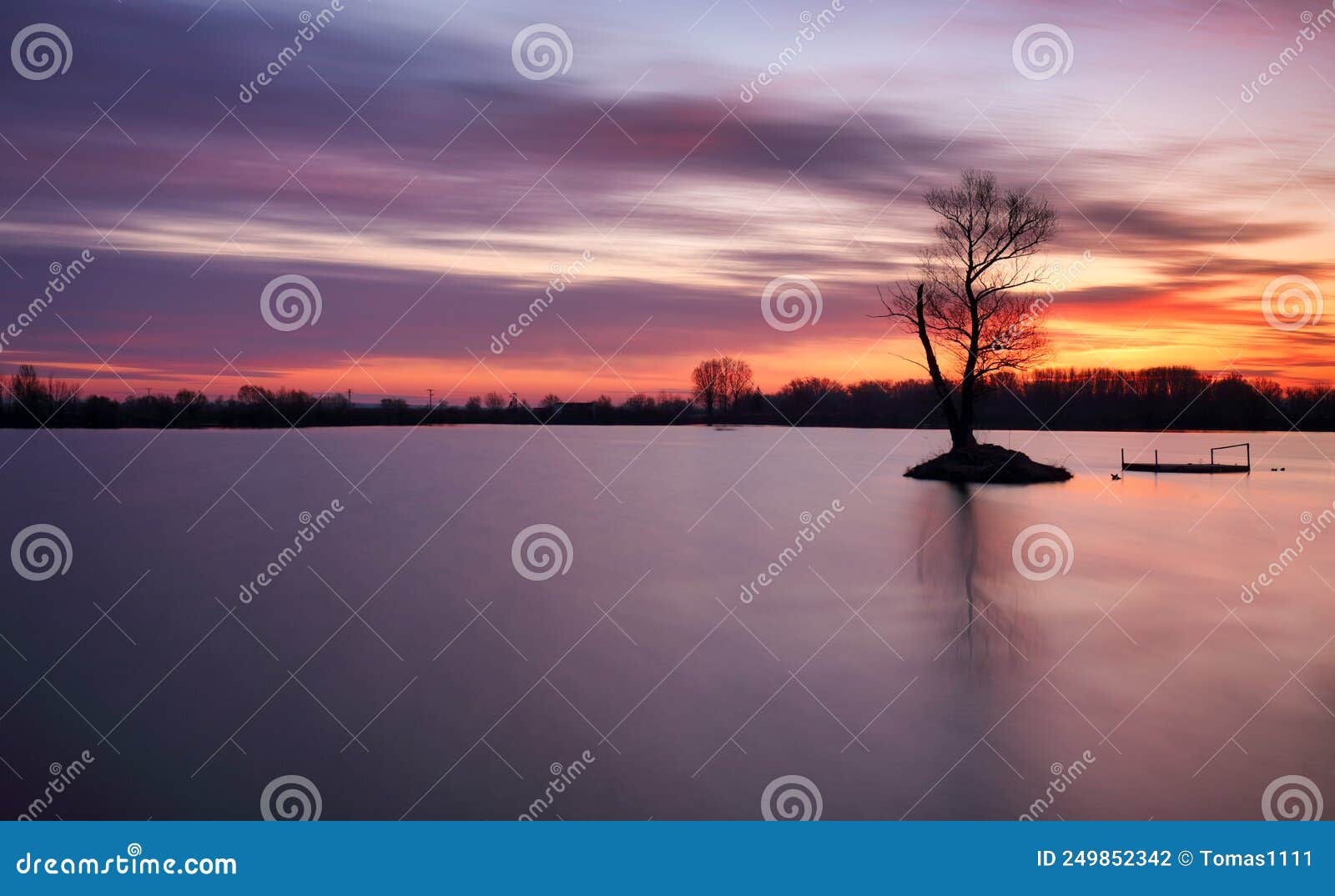 Pond at Sunset with Silhouette Tree, Water Landscape Stock Photo ...