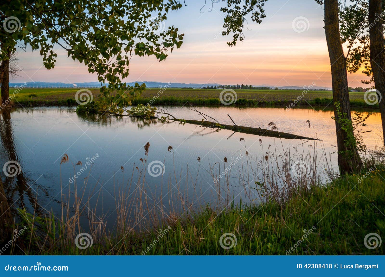 Pond at sunset stock photo. Image of landscaping, plant - 42308418