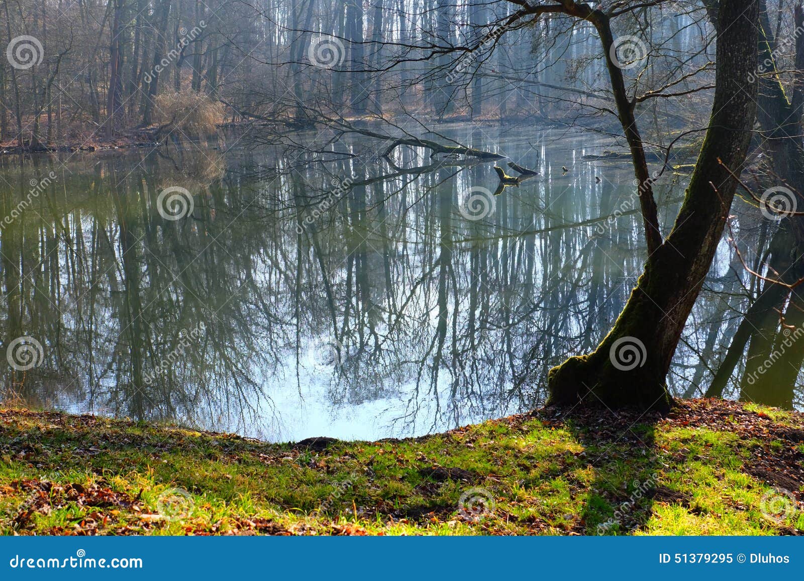 Pond stock image. Image of water, spring, reflection - 51379295