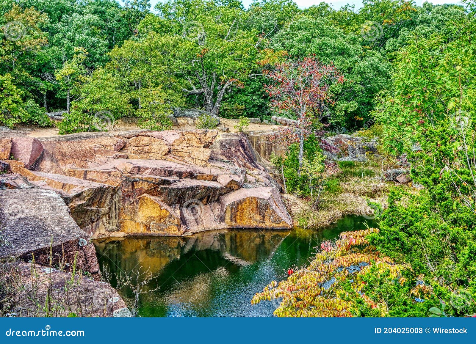 Pond Surrounded by Rocks and Greenery Under the Sunlight - Perfect for ...
