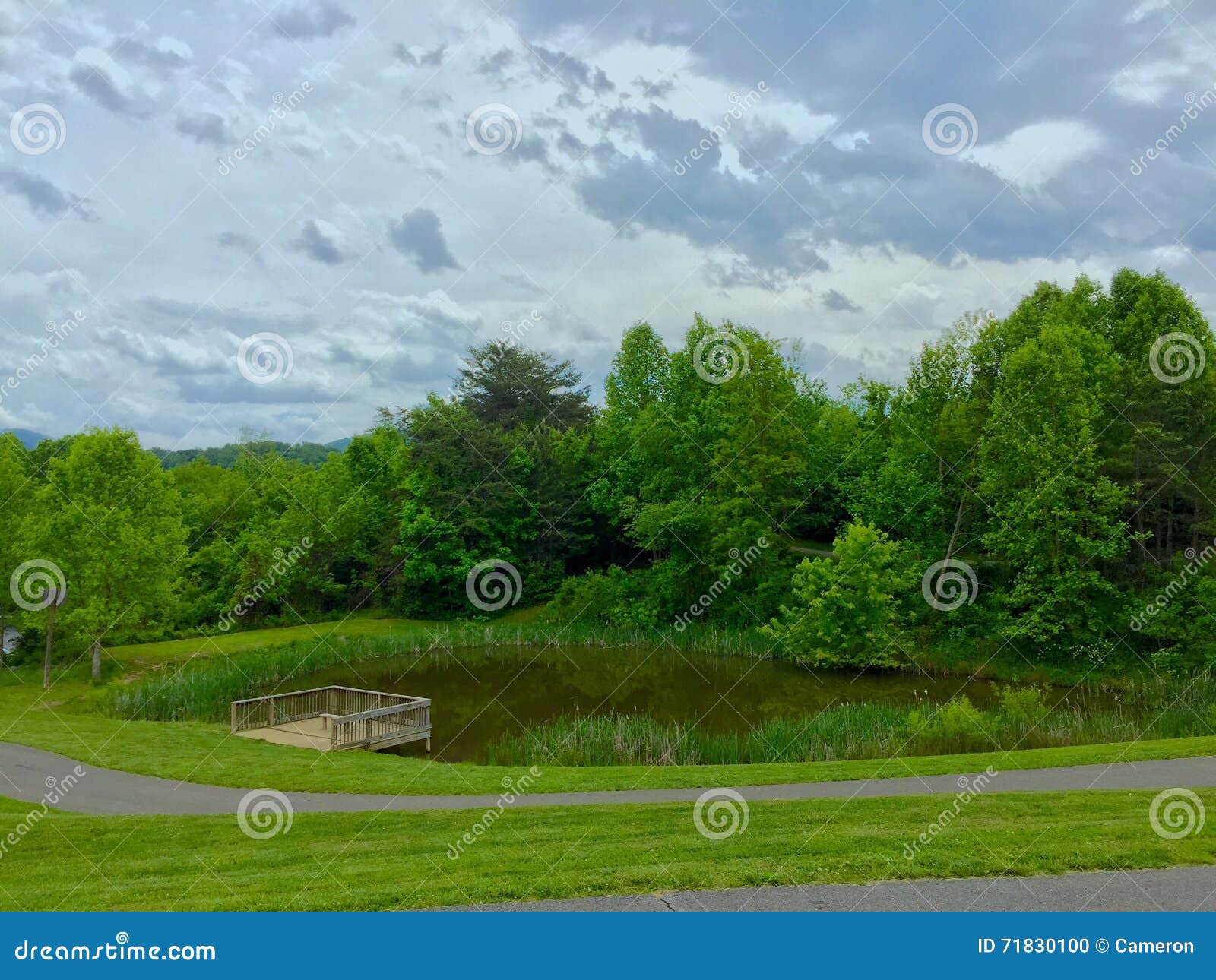 A Pond to Ponder stock photo. Image of serene, tennessee - 71830100