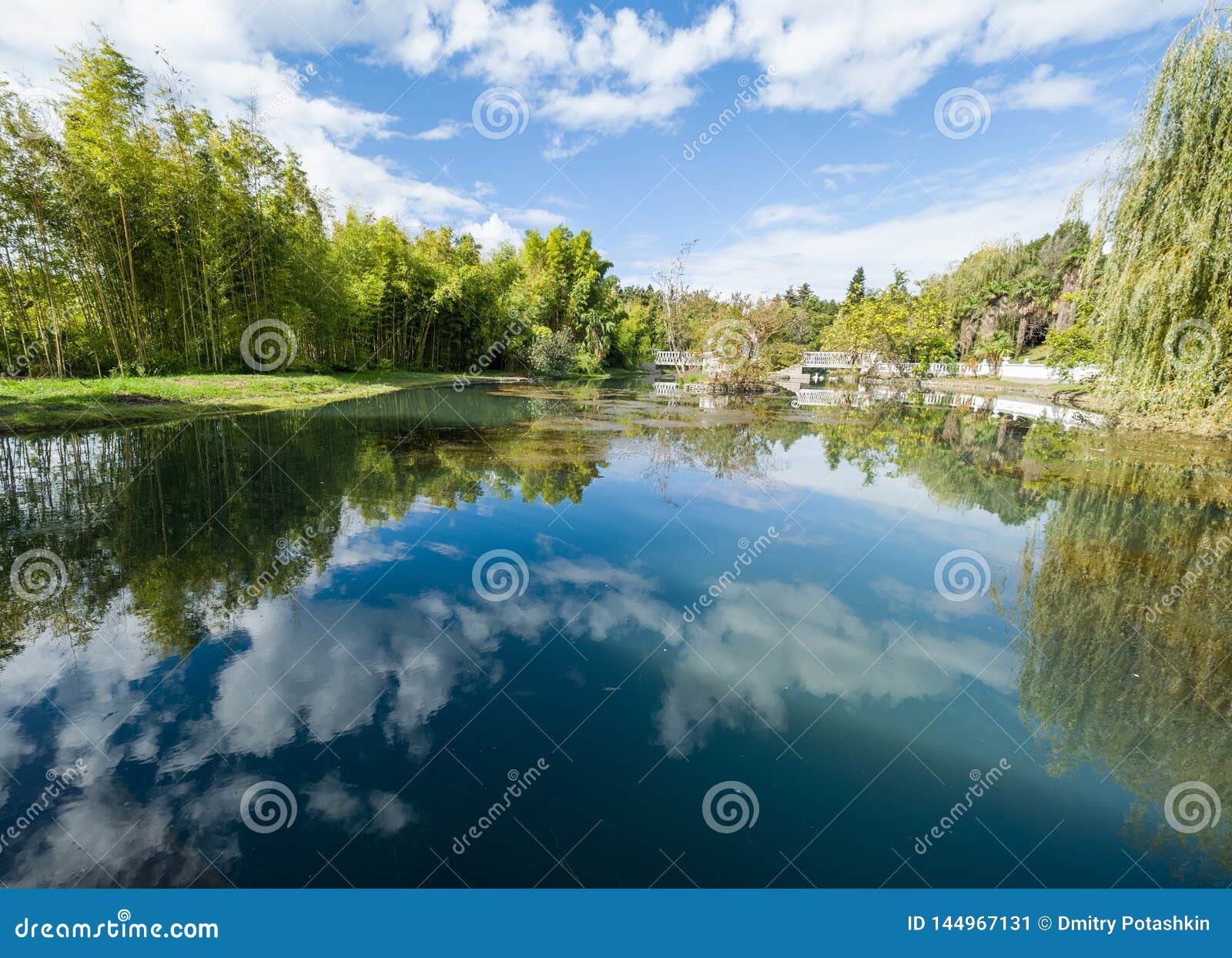 A Pond with Trees on the Shores. Reflection of Blue Sky with Clouds in ...