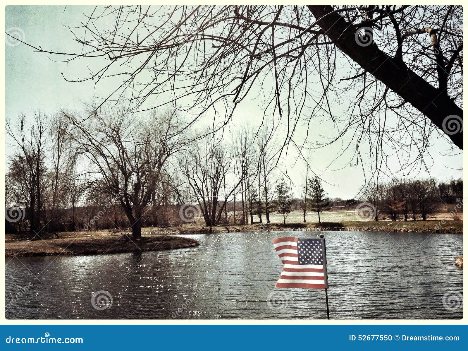 Pond stock photo. Image of trees, water, flag, swim, pond - 52677550