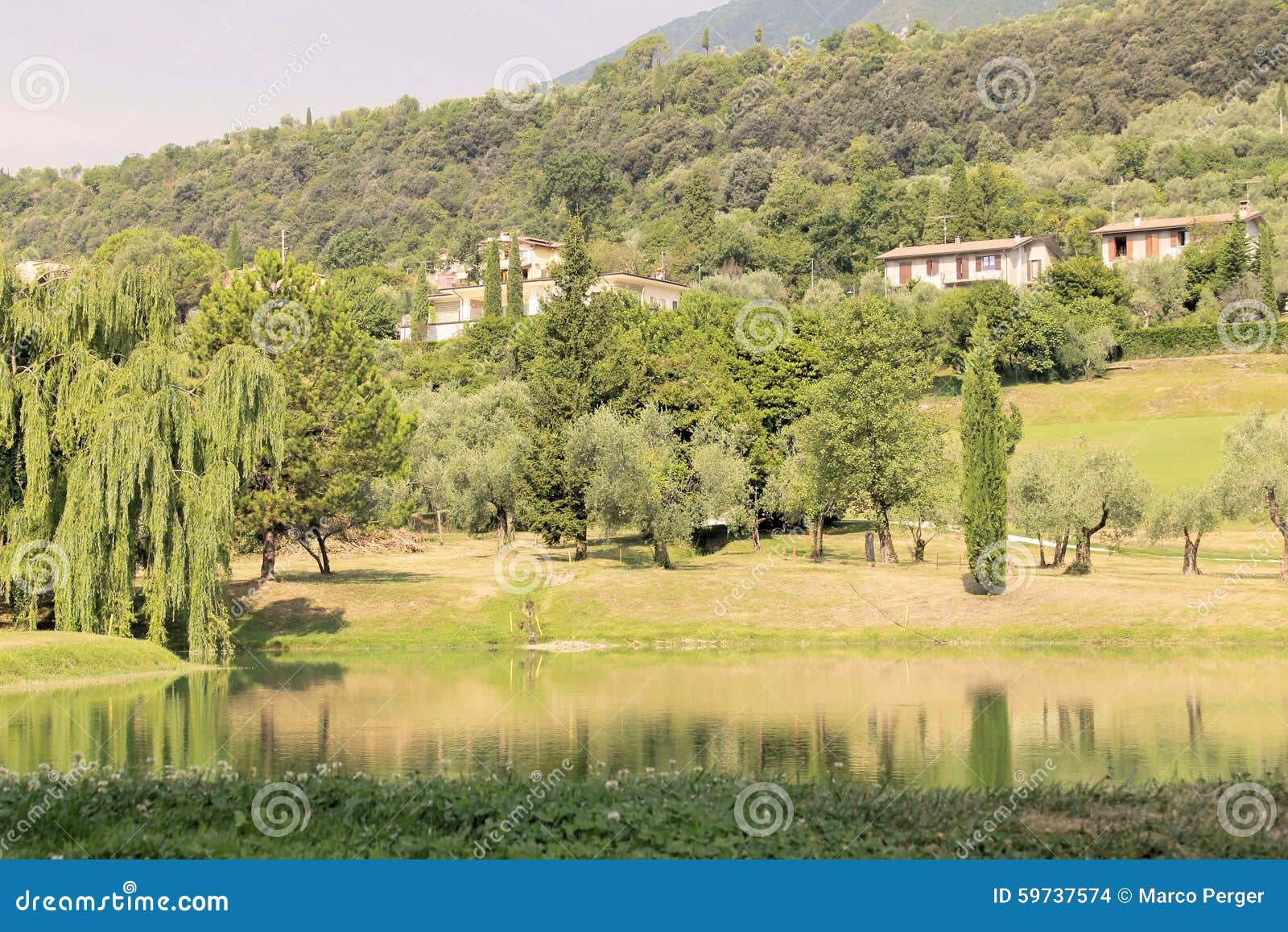 Pond stock photo. Image of padding, lake, group, outdoor - 59737574