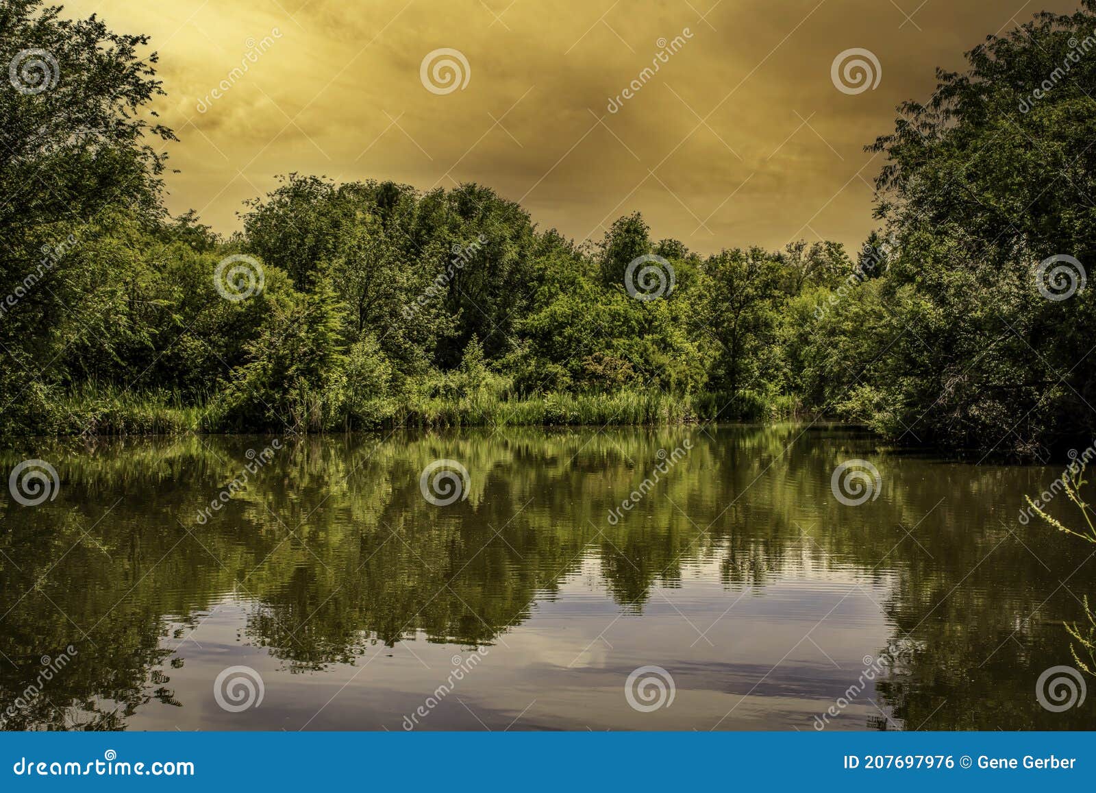The Pond stock photo. Image of pond, boise, idaho, waterscape - 207697976