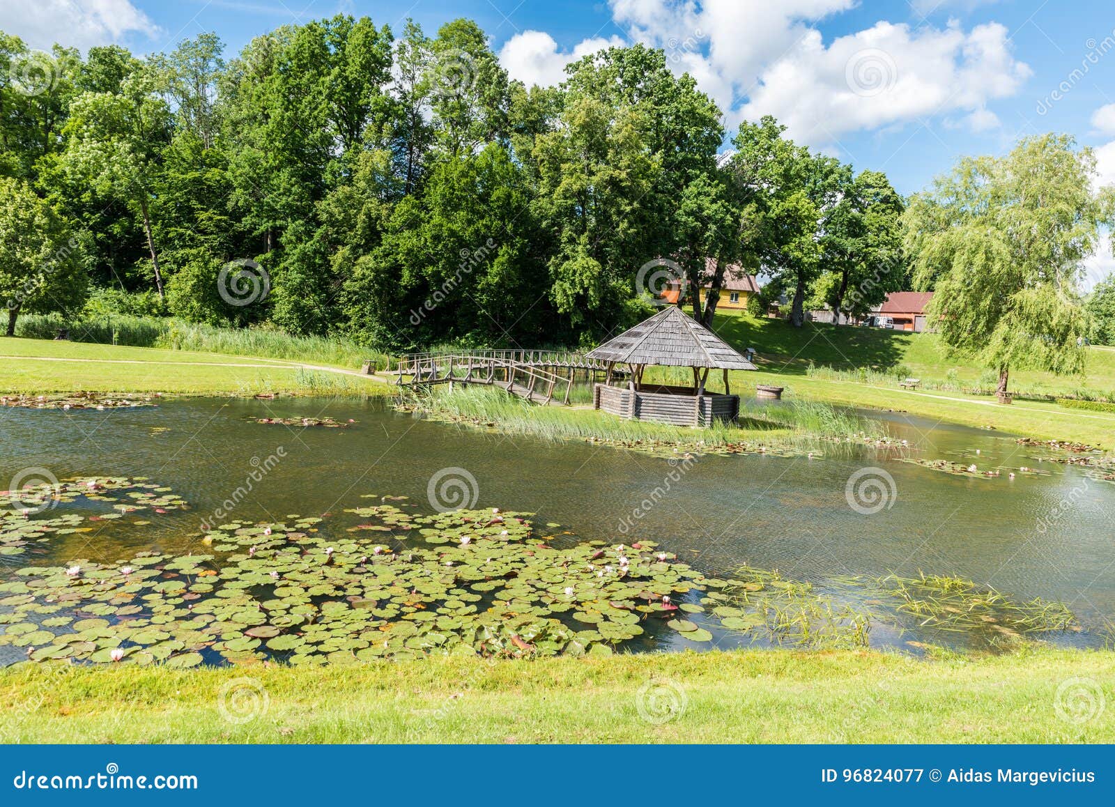 Pond in a village stock image. Image of village, field - 96824077