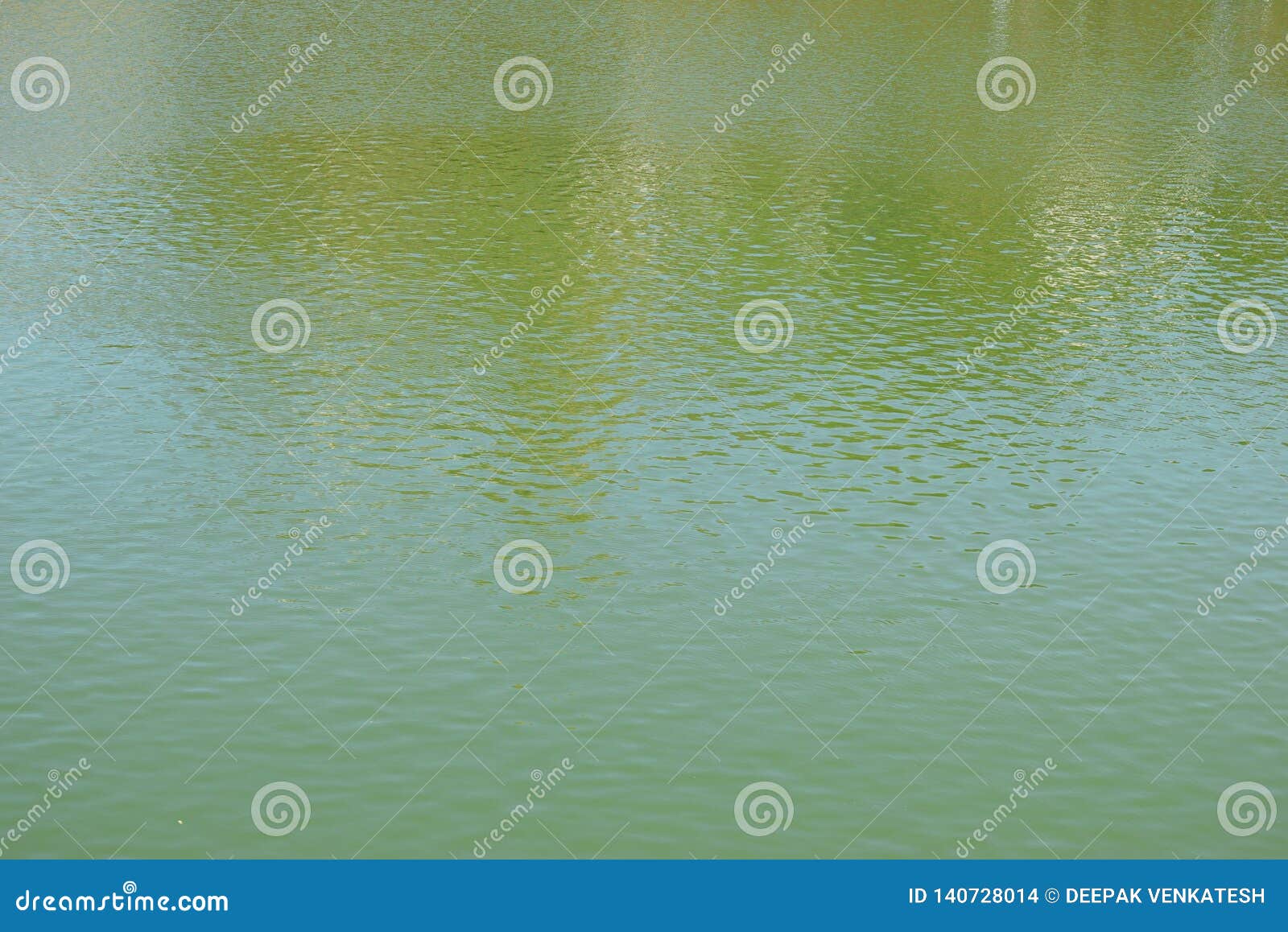 STILL POND WATER stock photo. Image of stagnant, color - 140728014
