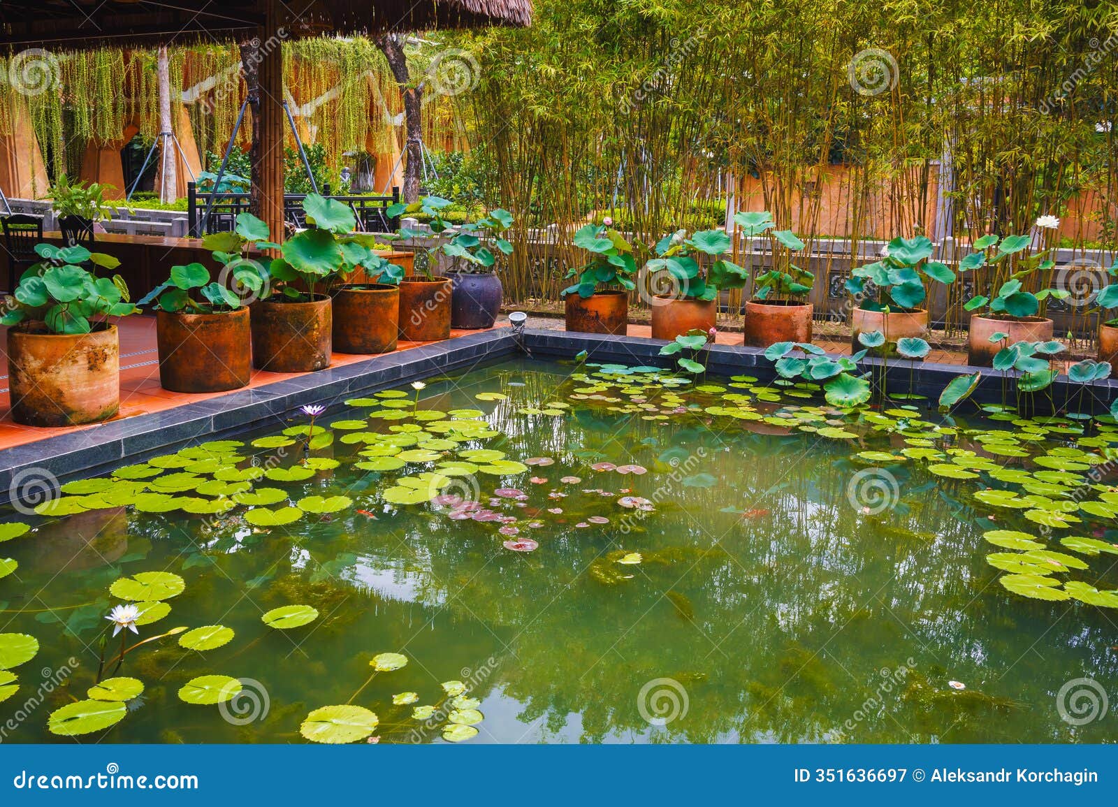 Pond with Water Lilies and Koi Fish on the Territory of Ba Na Hills in ...